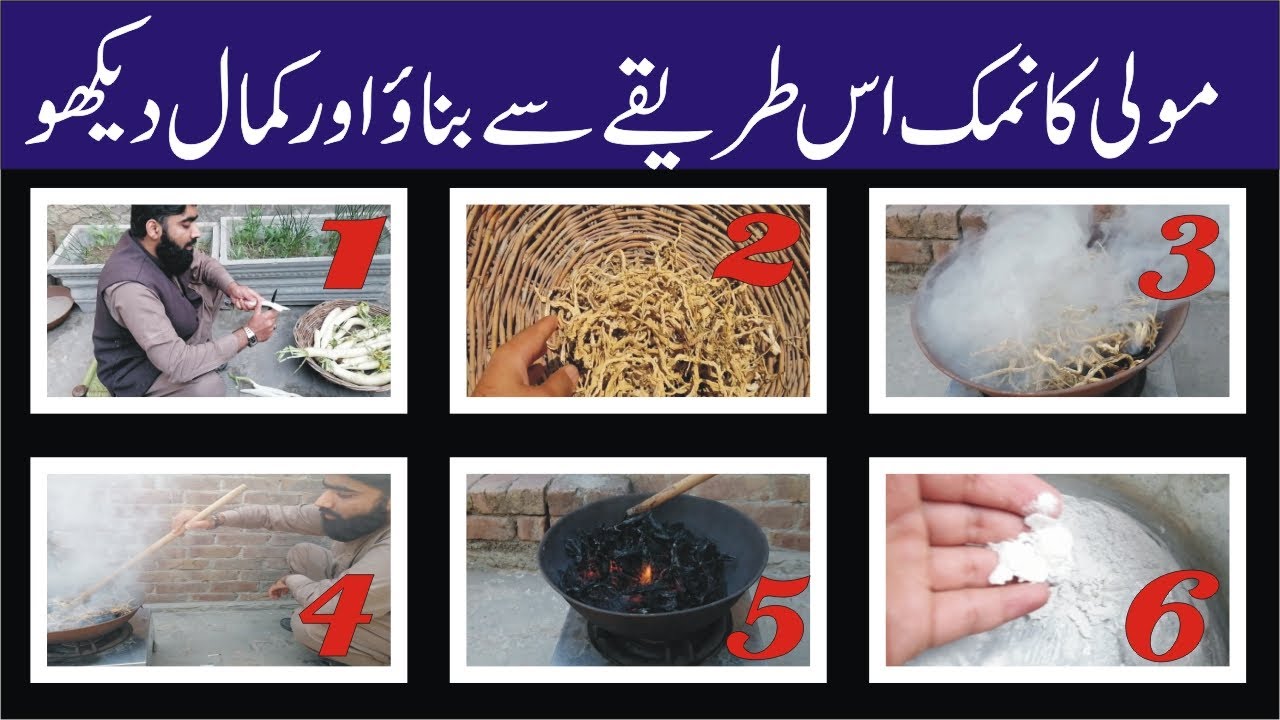 Moli ka namak bnane ka trika | moli ke fayde | bad hazmi ka ilaj ...