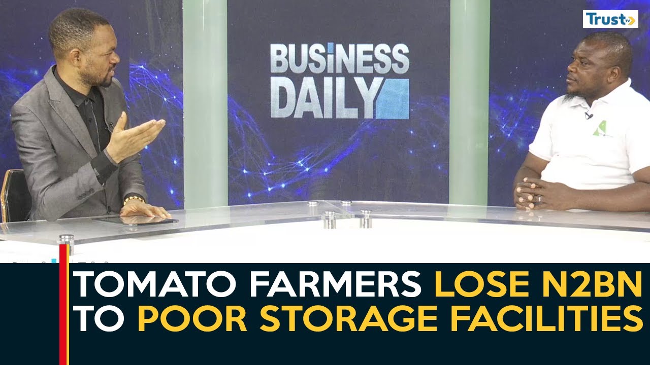 Tomato Farmers Lose N2bn To Poor Storage Facilities Amid Bumper Harvest ...