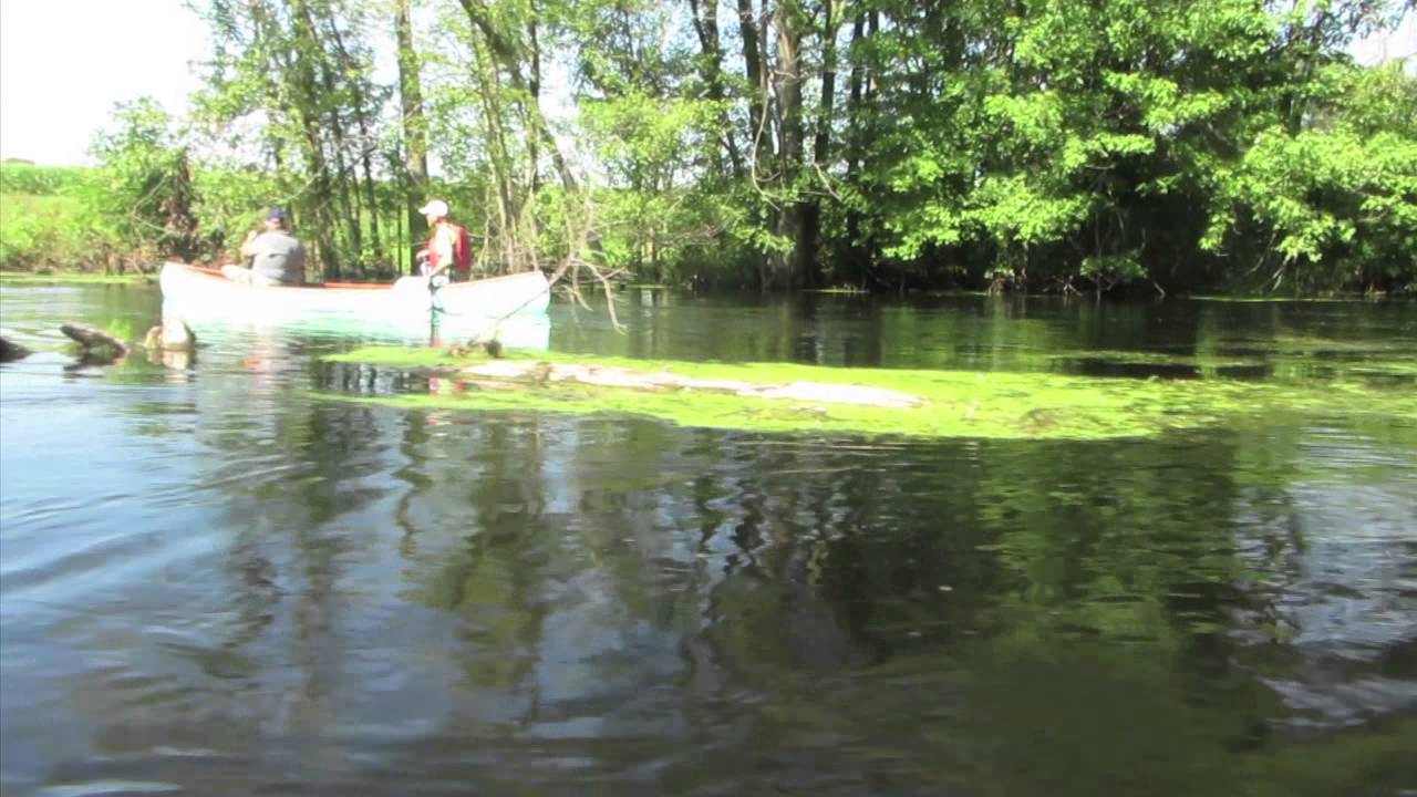 Elkhart River North Branch - YouTube