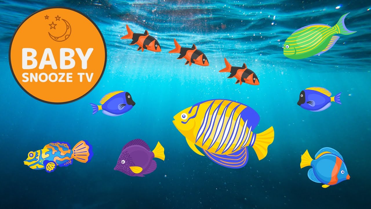 Soothing Fish Lullabies 🐟 | Relaxing Lullaby Mix by Baby Snooze TV ...