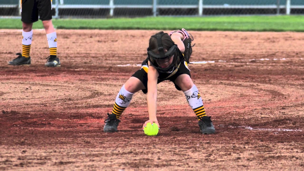 2013 baseball killer bees - YouTube