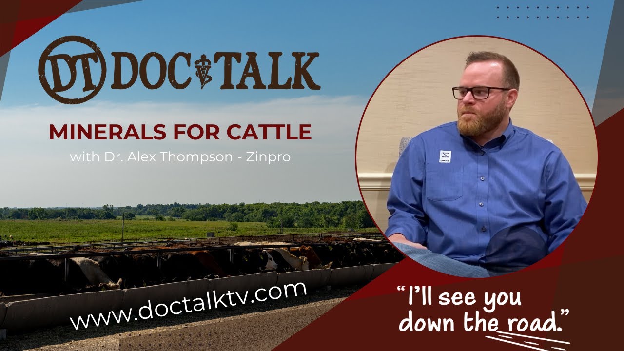 DocTalk Ep 496 - Minerals for Cattle with Dr. Alex Thompson - YouTube