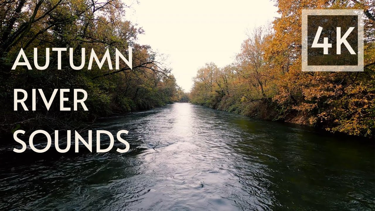 Autumn River Sound for Sleep and Relaxation 🍂 | Tranquil River Ambience ...