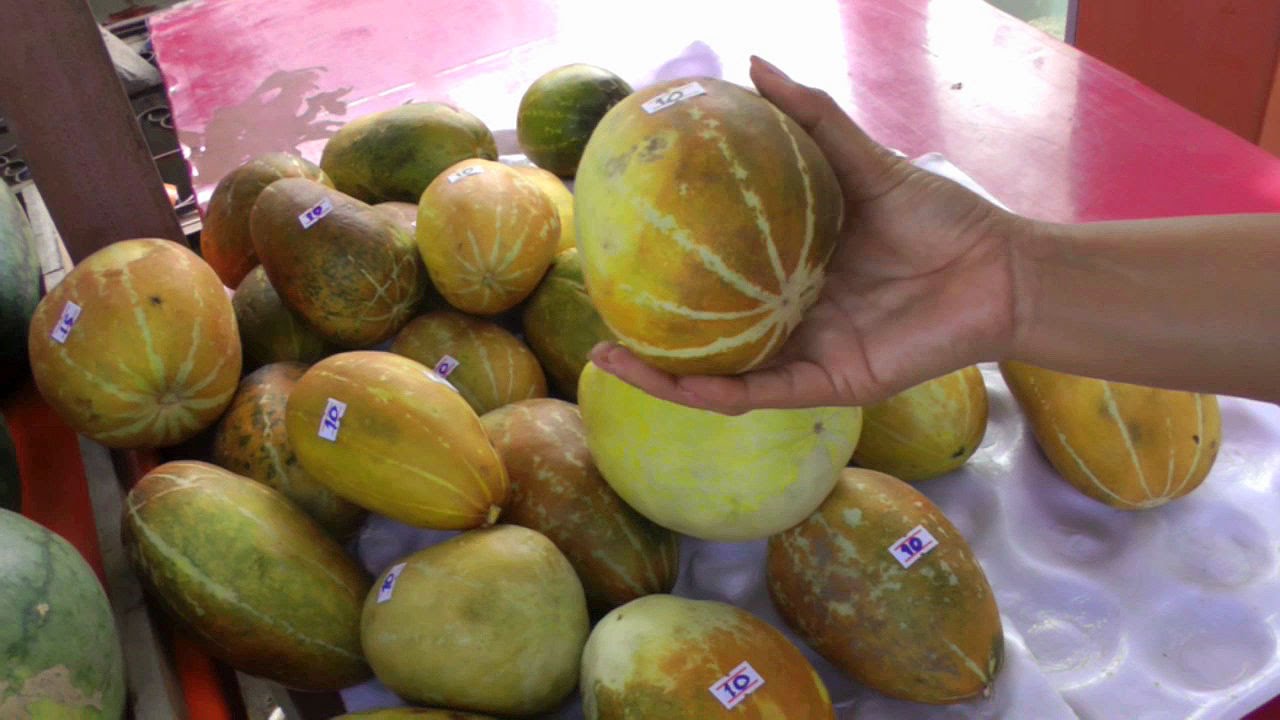Tang Thai Muskmelon | Cucumis melo L. | HD Video - YouTube