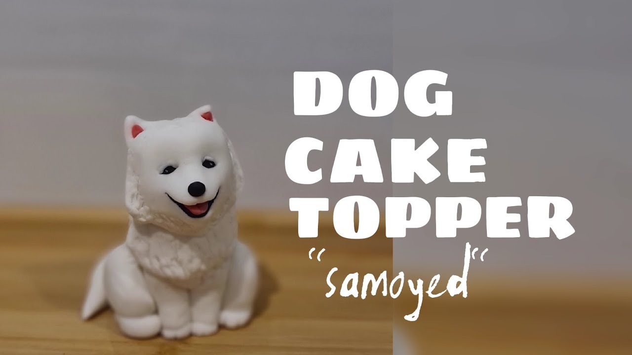 DOG CAKE TOPPER - SAMOYED - YouTube
