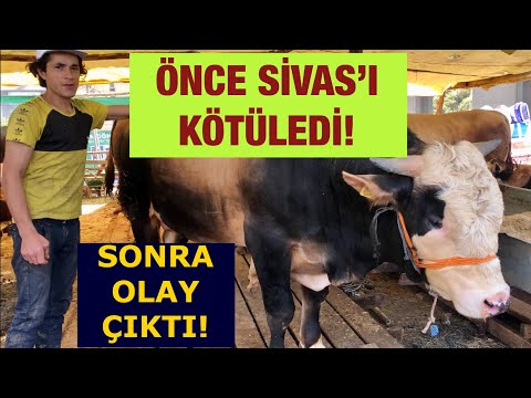 ÇADIRLAR KAVGA ETTİ (Kurbanlık Fiyatları 2022)