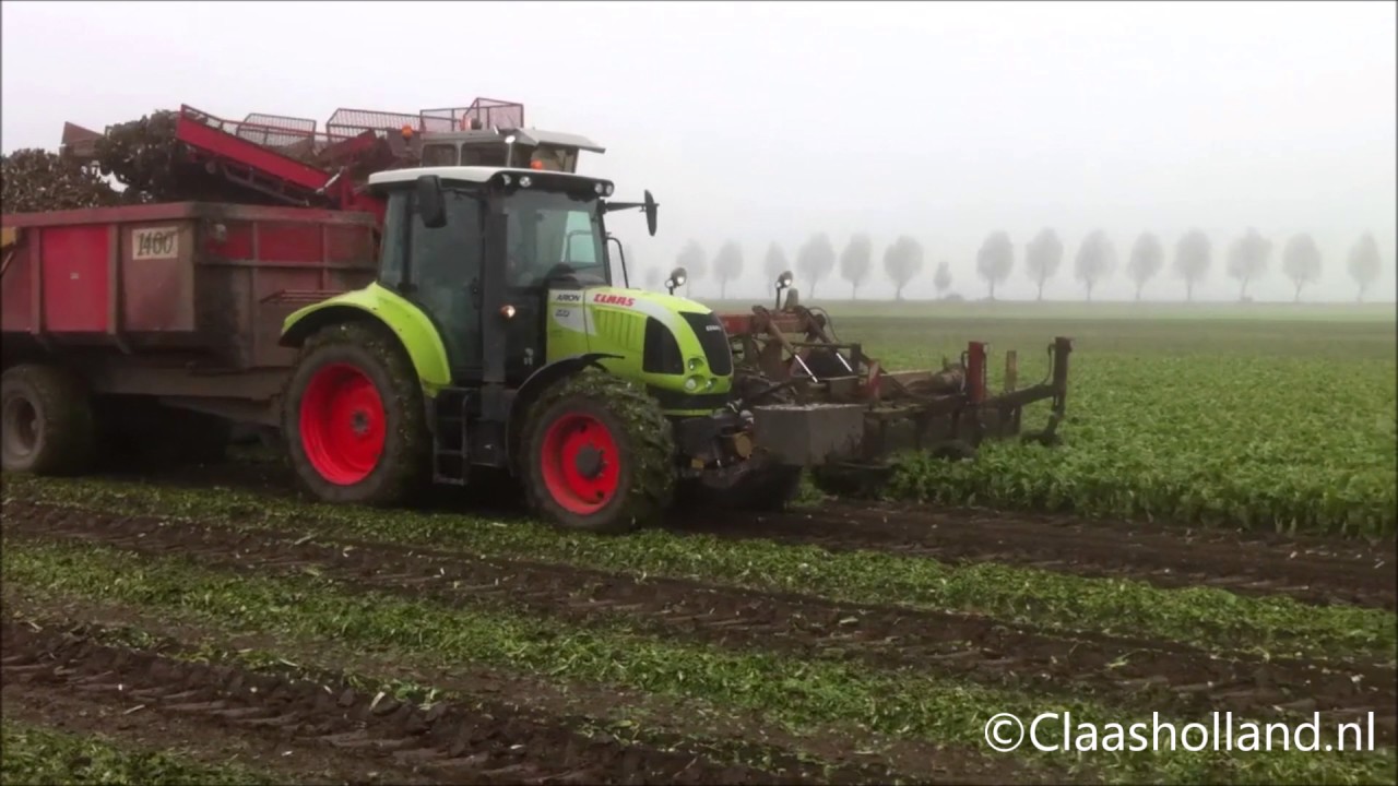 witlofpennen rooien met Loonbedrijf Van Dun. - YouTube