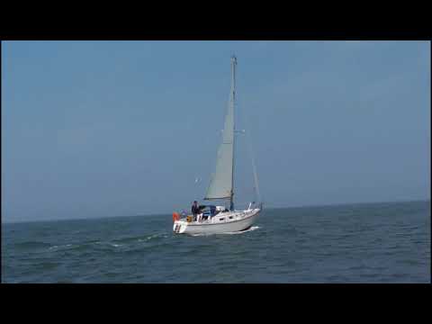 Contest 33 (134985-1)