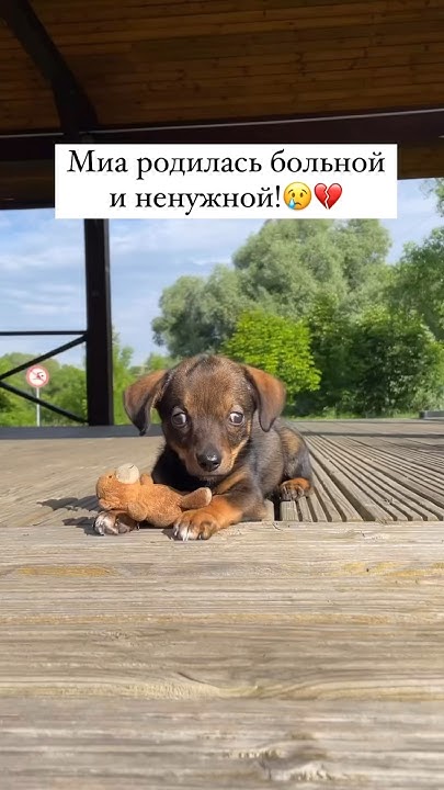 Миа дома! 🎉🥳 - YouTube