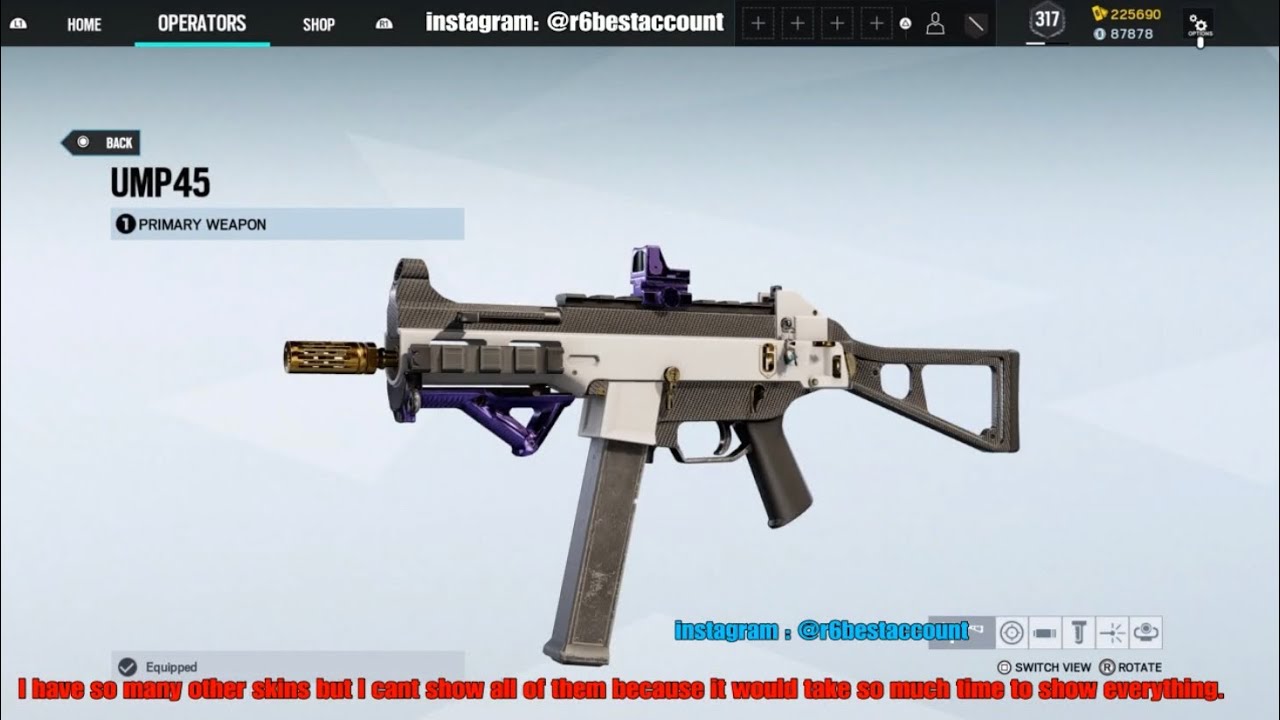 SELLING THE BEST R6 ACCOUNT EVER! WITH 87 878 R6 CREDITS! *VERY stacked ...