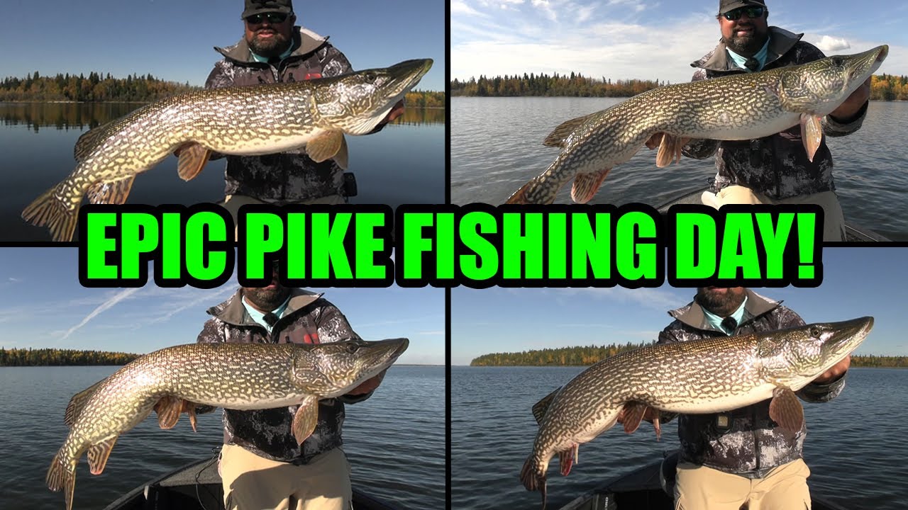 Epic Pike Fishing Day! | Crazy BIG PIKE ACTION! - YouTube