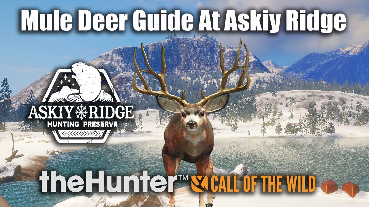 Mule Deer Guide At Askiy Ridge - theHunter Call Of The Wild (Early ...