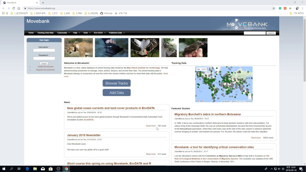 무브뱅크(Movebank)에서 동물 추적 데이터 다운로드하기 - YouTube