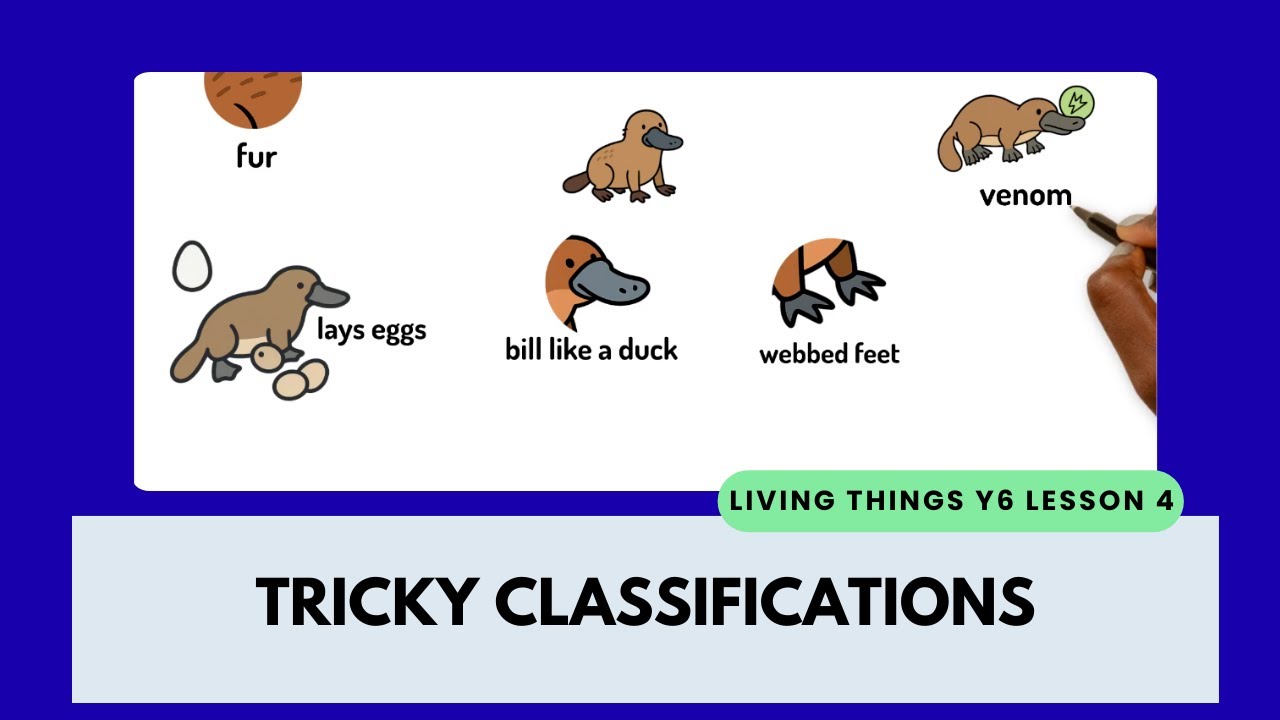 Tricky Living Things to Classify | Year 6 Science - YouTube