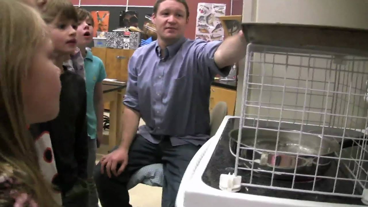 Ryan Elementary Science - YouTube