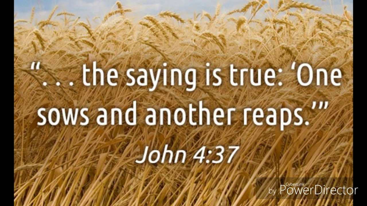 John 4:37 - YouTube