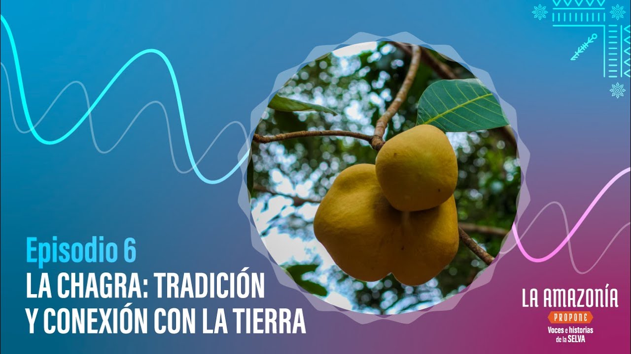 EP 6: La chagra: tradición y conexión con la tierra - # ...