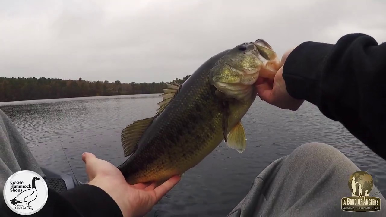 Fall Largemouth Bass Fishing with the Dartspin Pro 5.5" (Dartspin ...