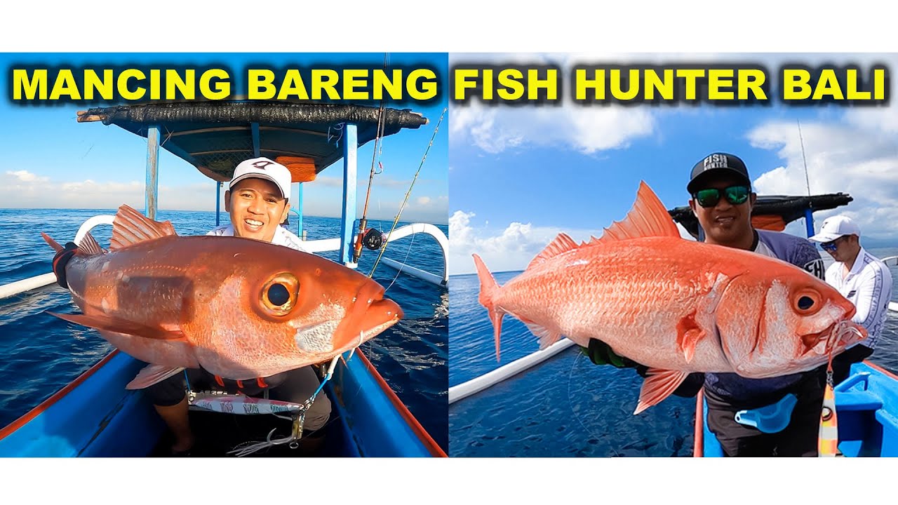 MANCING IKAN BARENG FISH HUNTER BALI DI SARANG BABON RUBY SNAPPER ...