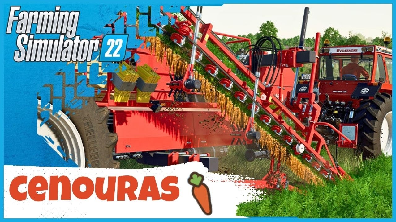 Cenoura como Cultivar e Rendimento desta Nova Cultura | DLC Premium ...