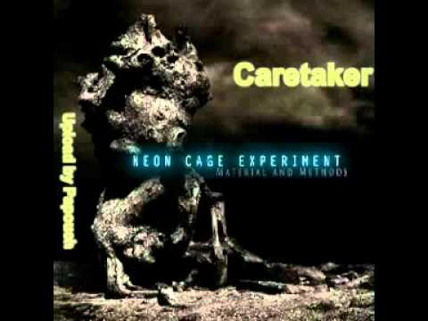 Neon Cage Experiment - Caretaker - YouTube