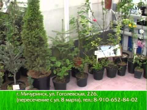 Компания «Садовый дворик» - YouTube