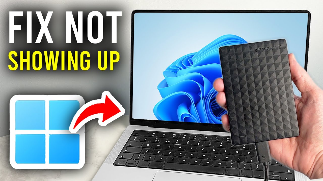 How To Fix External Hard Drive Not Showing Up On Computer - Step By ...