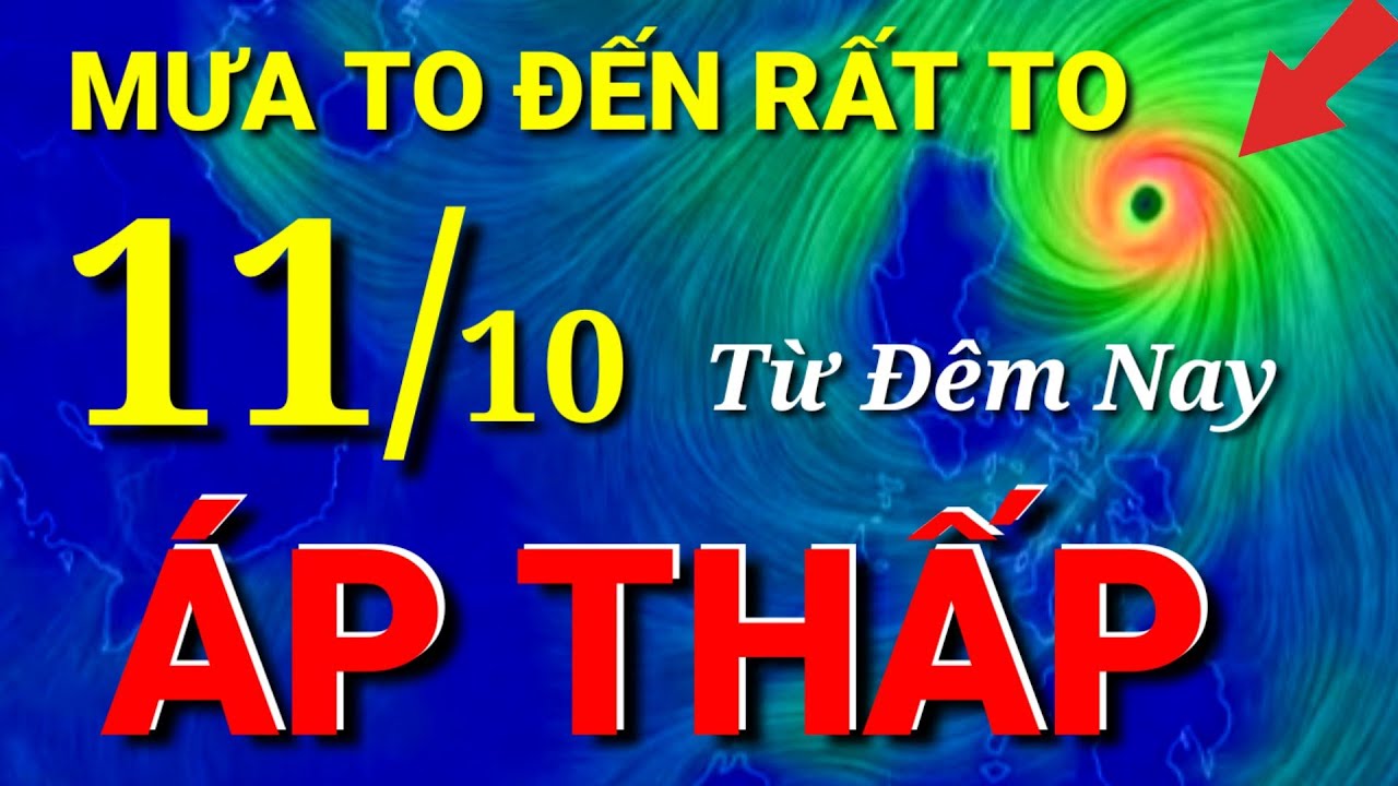 🔴 Weather forecast for today and tomorrow October 11 | Weather forecast ...