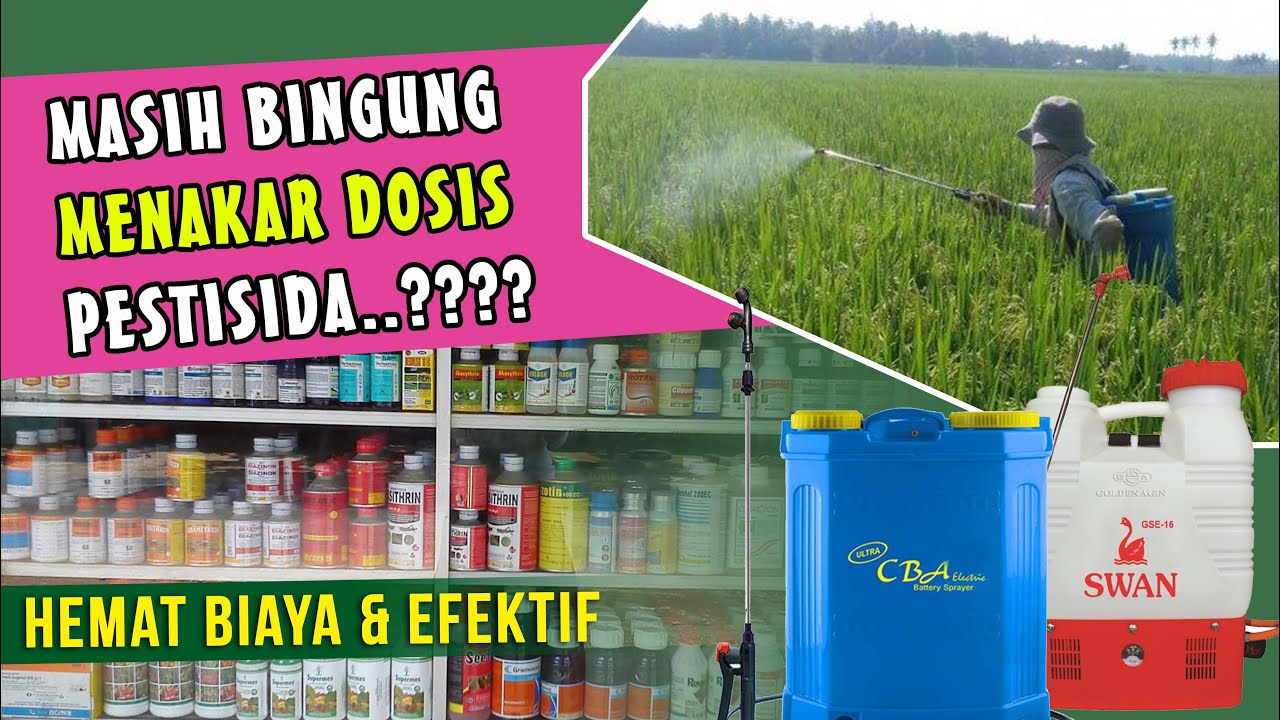 Cara Menghitung Dosis Pestisida yang Benar | Insektisida & Fungisida ...