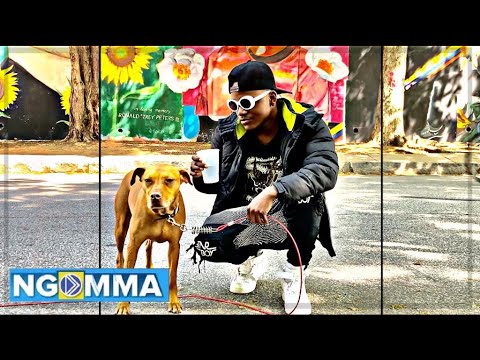 STaNiBoY - Maboya - (Official Video) - YouTube