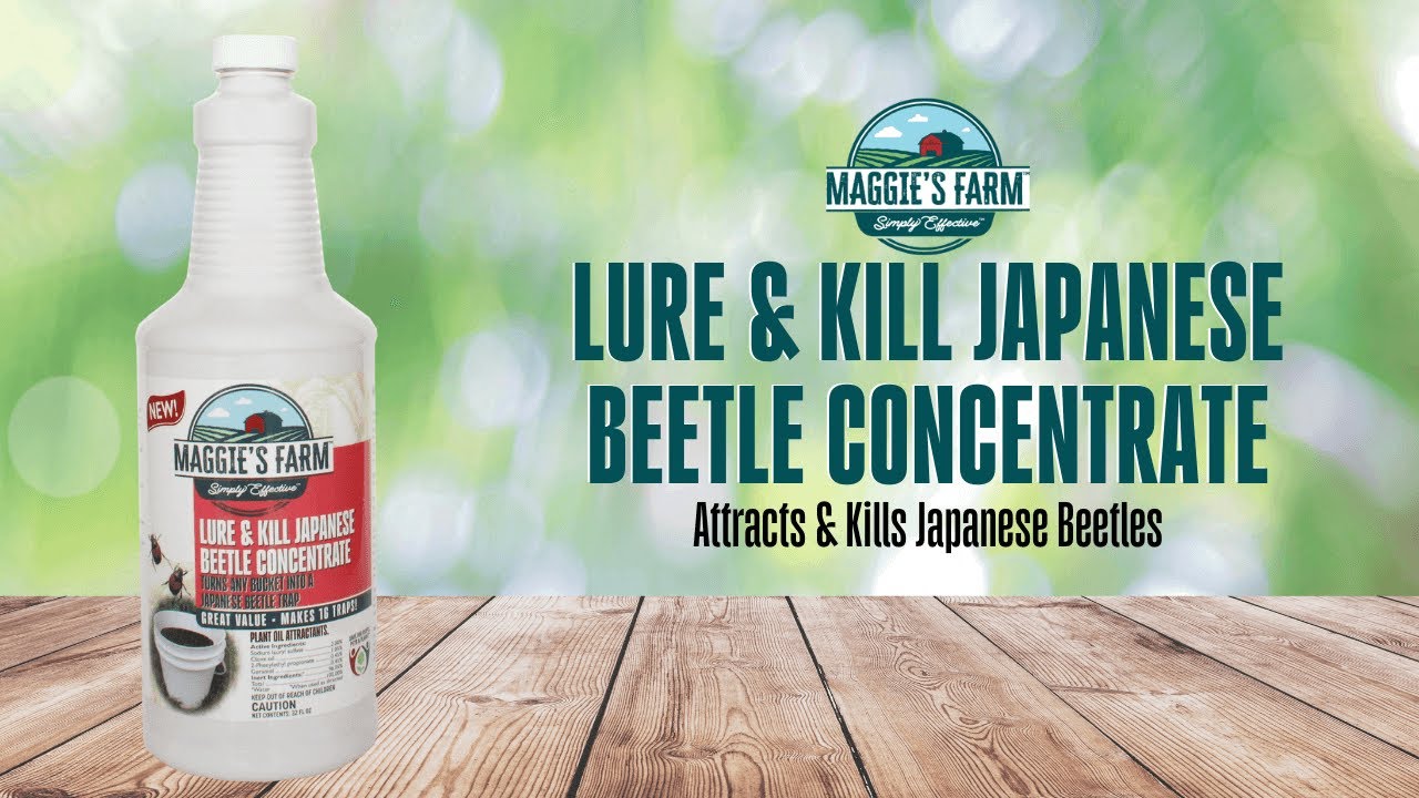 Japanese Beetle Spray Recipe Conventional & Organic Insecticides For