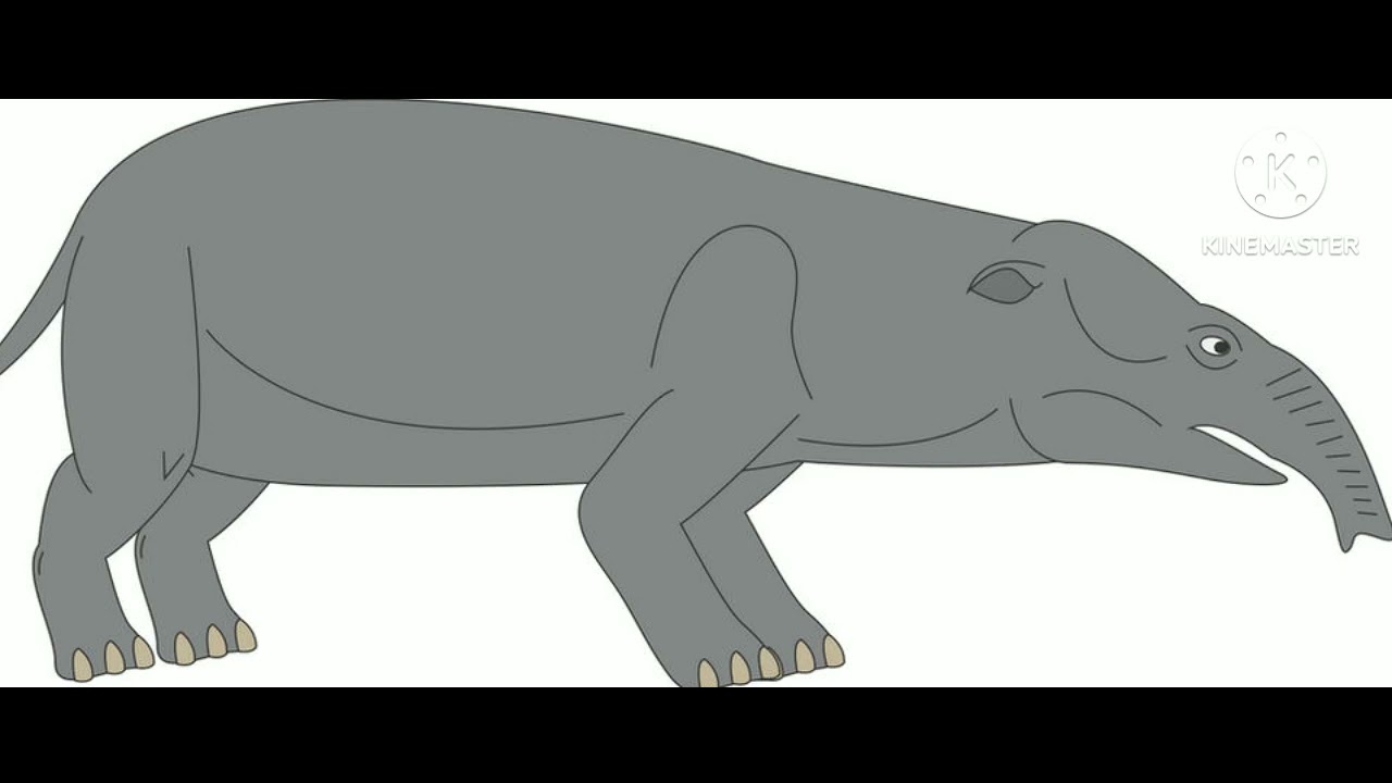 Moeritherium Sound Effects - YouTube
