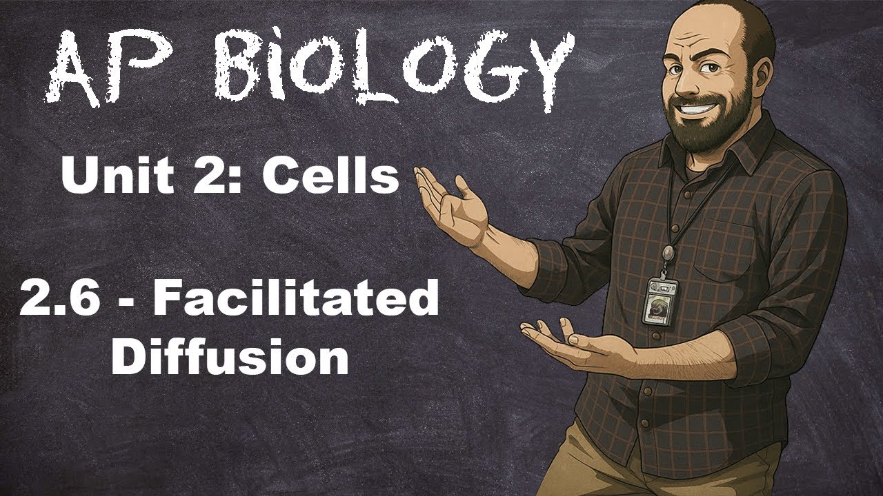 AP Biology Unit 2 - Topic 2.6 – Facilitated Diffusion - YouTube