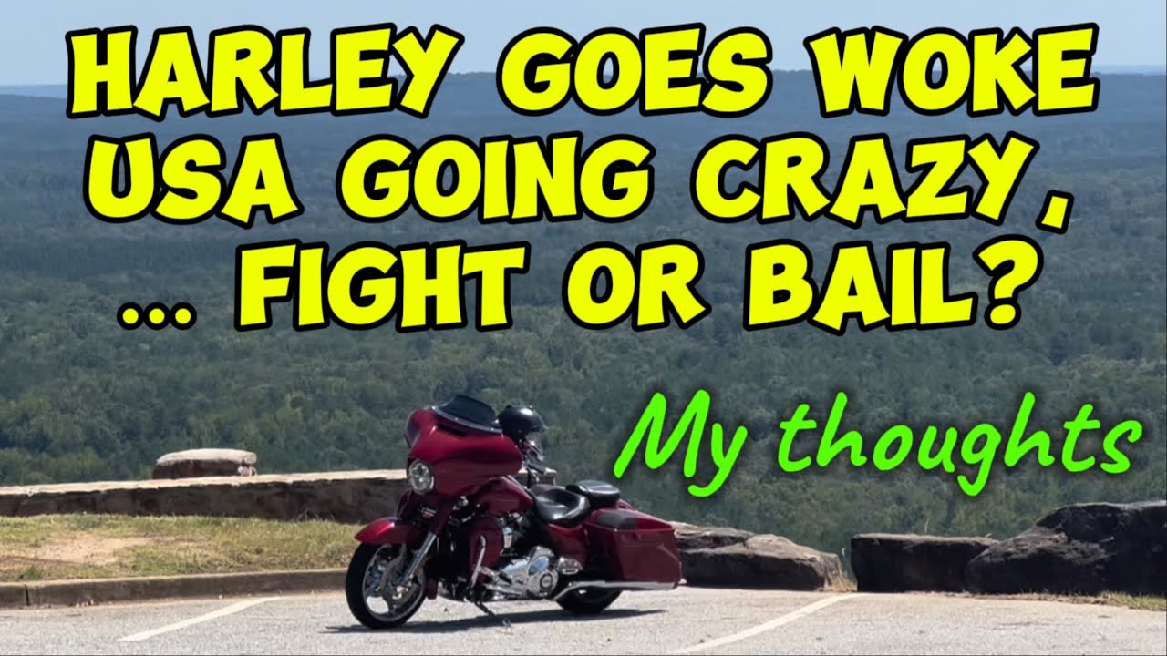 Harley woke, Fight or Bail? - YouTube