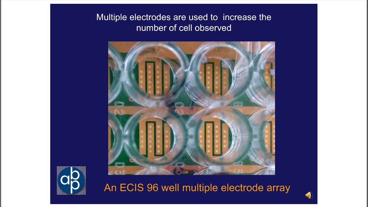 ECIS - Introduction - YouTube