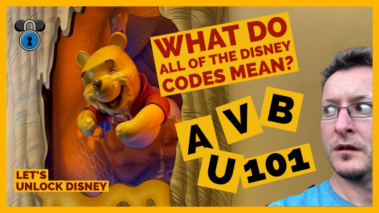 What do all the Disney codes mean? Code A? Code H? Have you ever ...