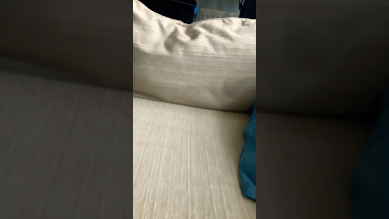 Uh oh I think I am scared - YouTube