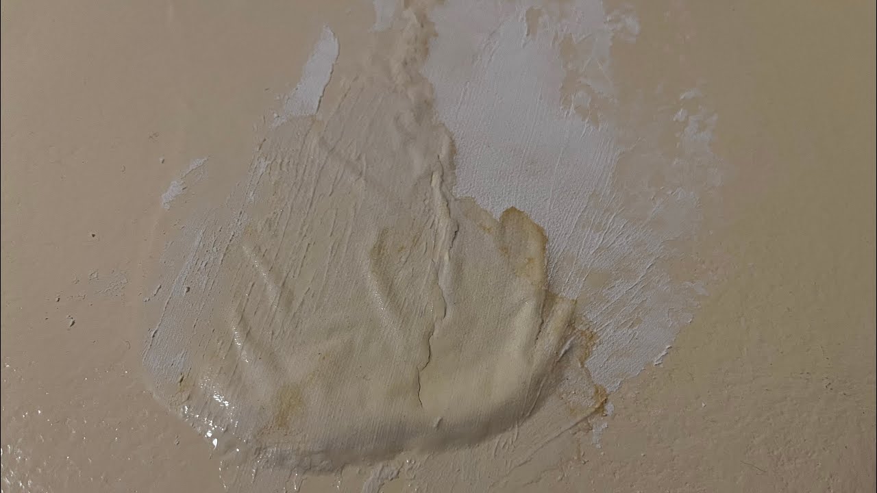 Rant NYCHA Remediation or Retaliation Water Damage Mold Poor Air ...