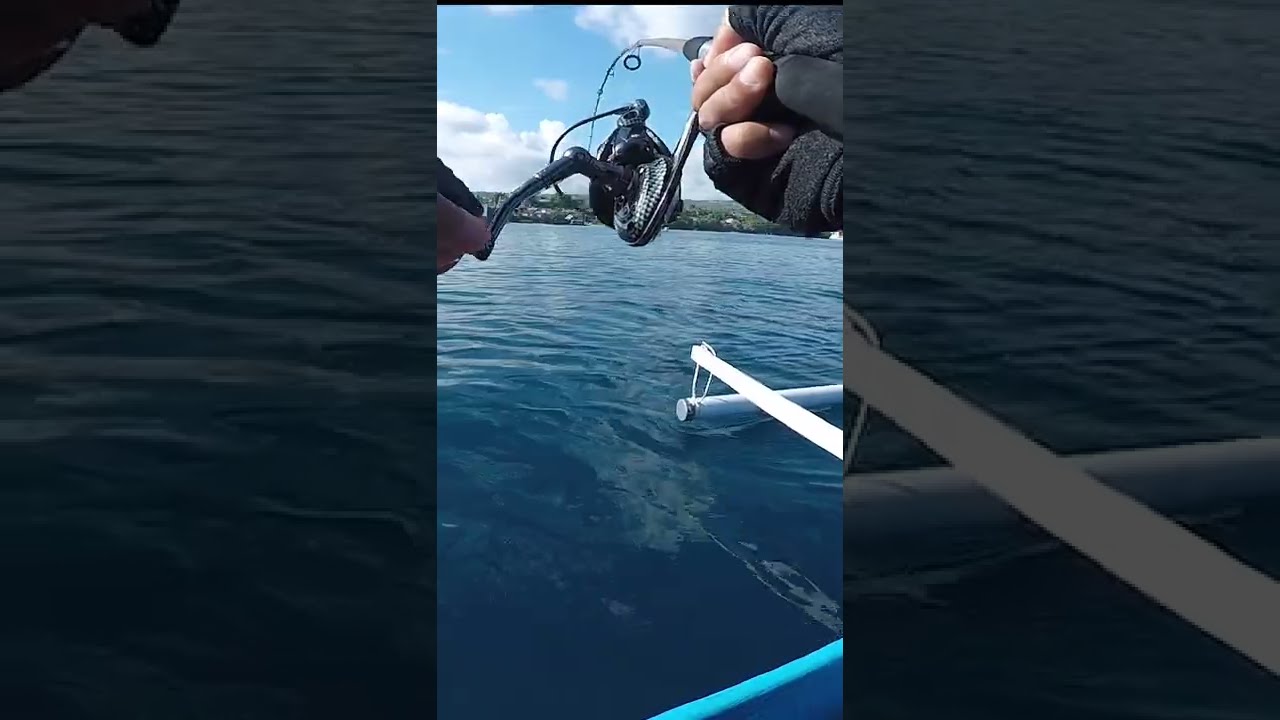 Strike Ikan Pogot #fishing #shorts - YouTube