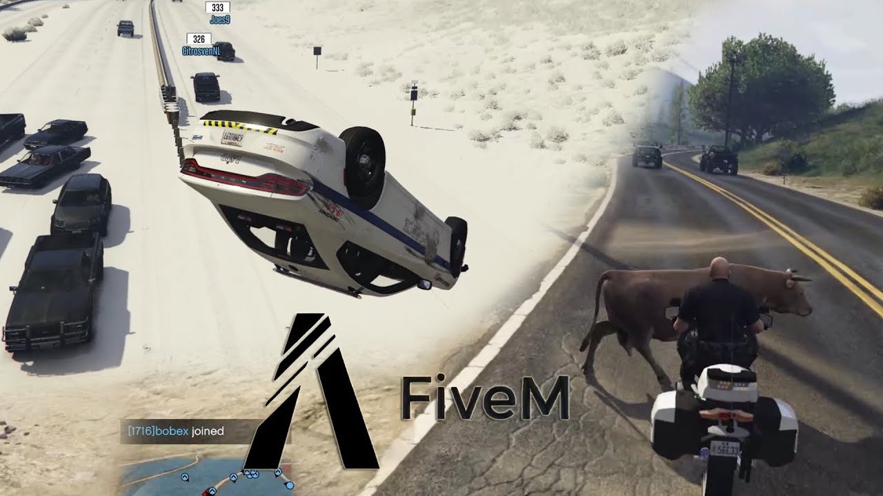FiveM: Busted clips #5 - YouTube