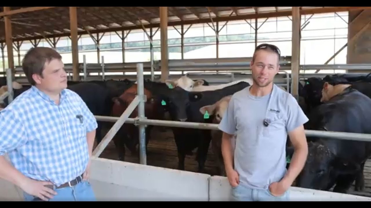 Maximizing Livestock Ventilation in the Beam Family's Beef Cattle Barn ...