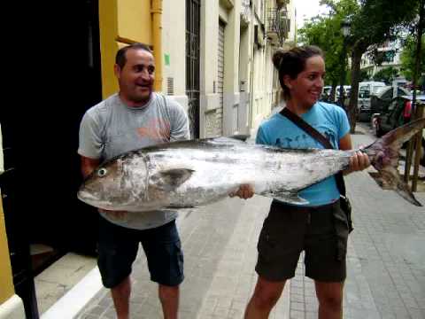 Pez Serviola o (pez Limón) de 56 kg y 1.48 cm. - YouTube