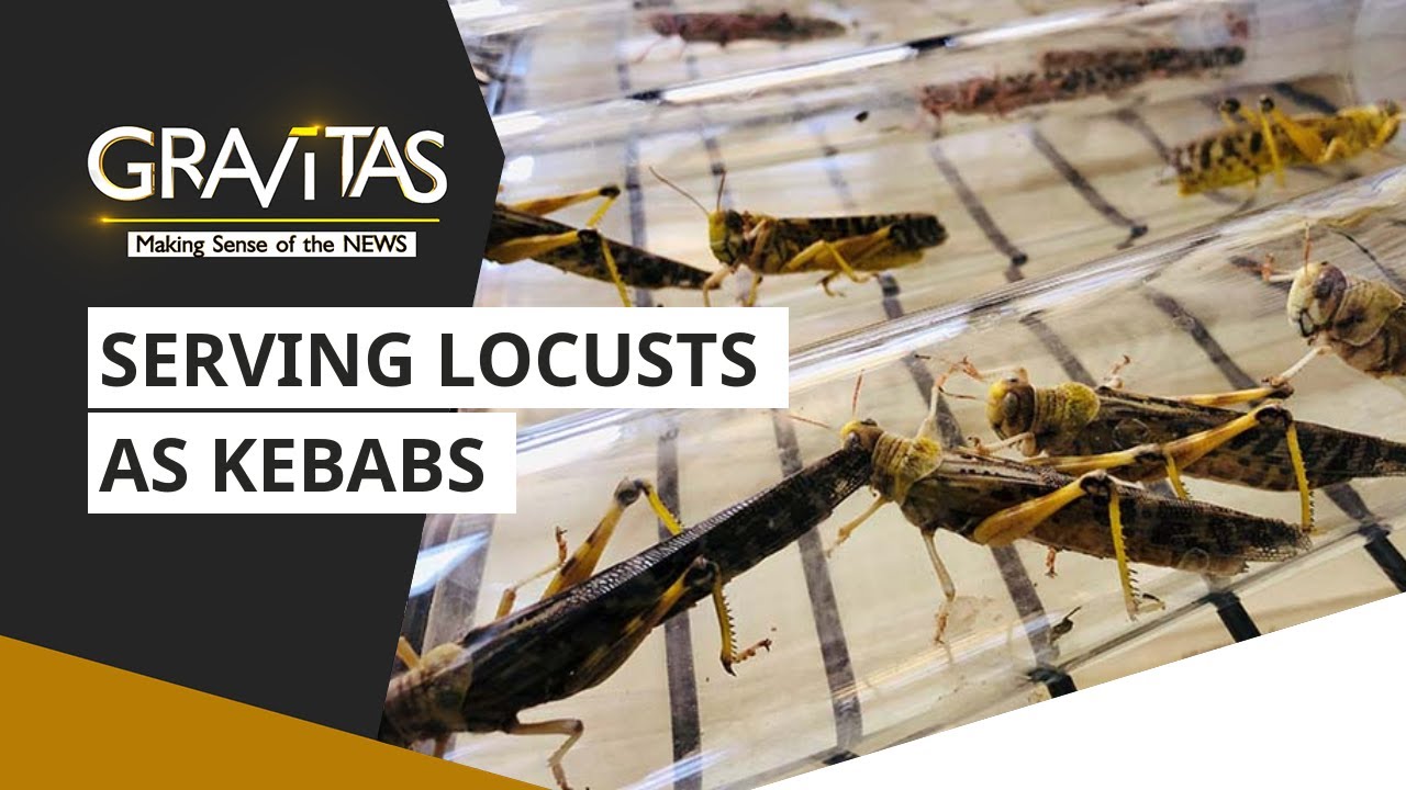 Gravitas: Serving Locusts as Kebabs - YouTube