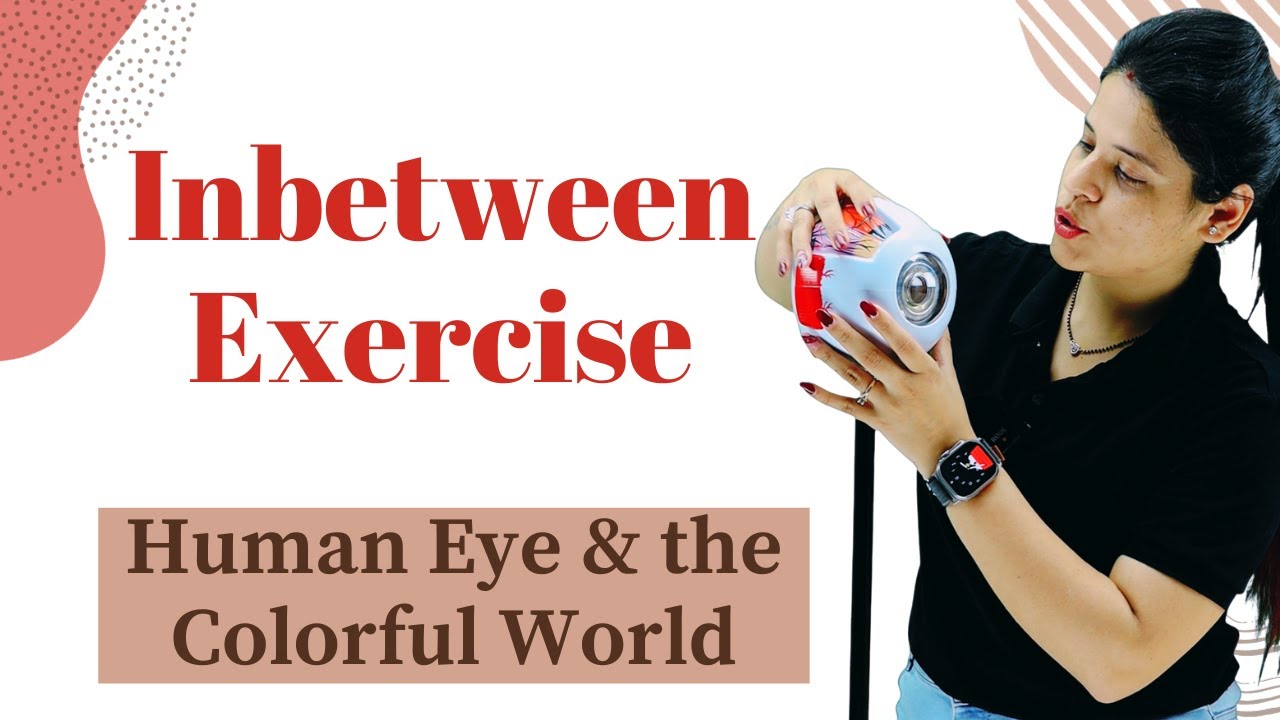 Inbetween Exercise Human Eye And The Colourful World Class 10 inbetween-exercise-human-eye-and-the-colourful-world-class-10