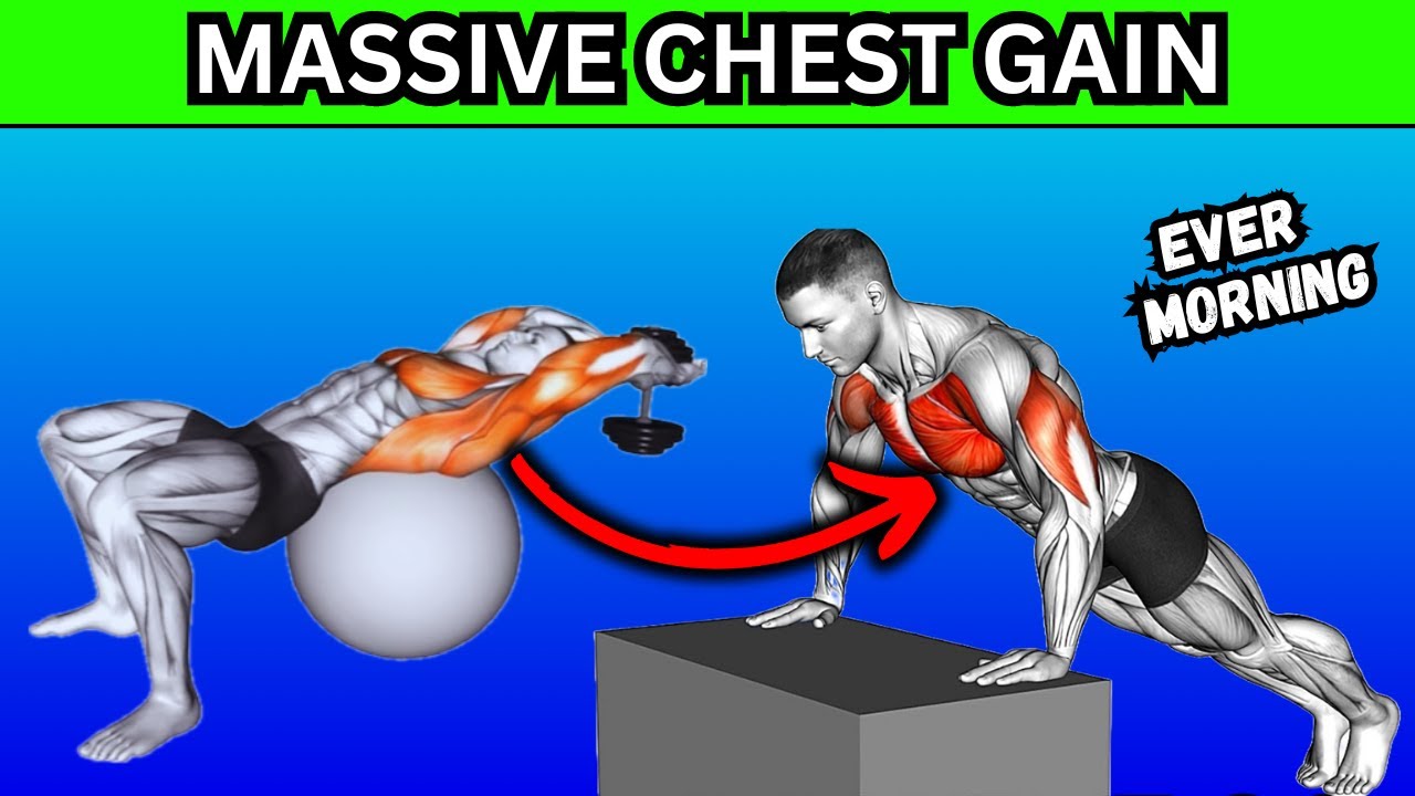 10 Best Effective Exercises To Build A Perfect Chest (CHEST WORKOUT ...