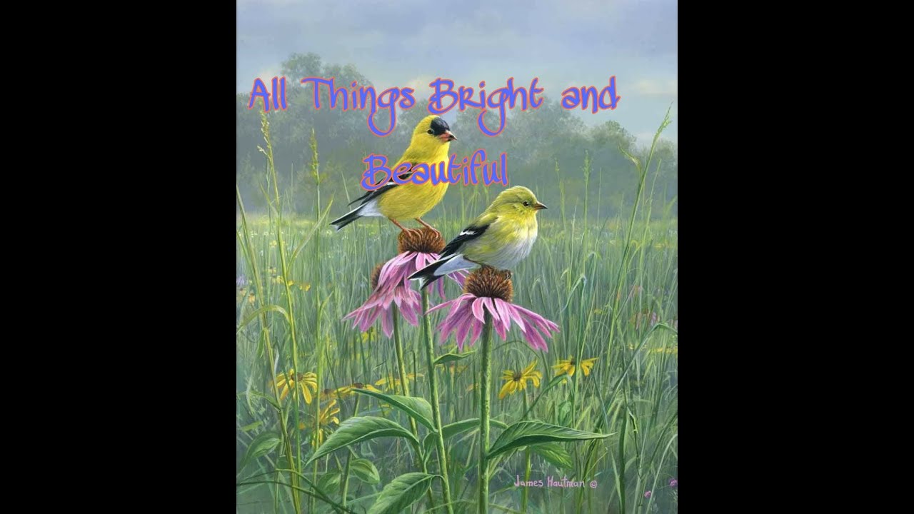 All Things Bright And Beautiful #poem - YouTube