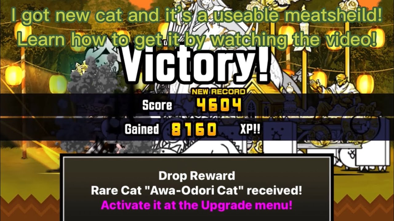 How to get Awa - Odori Cat! ( New meatsheild!) - YouTube