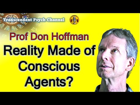 Is Reality Made of Conscious Agents: Don Hoffman / Idealism - YouTube