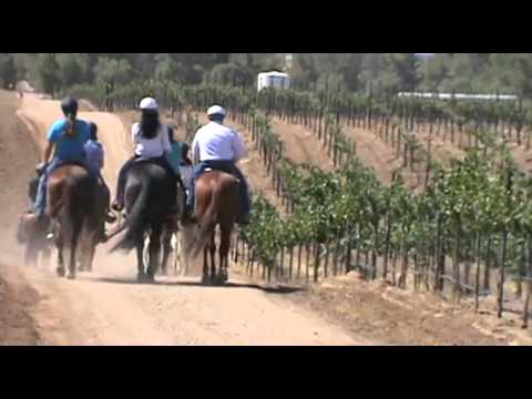 Agua Dulce Winery - Horseback Riding - YouTube