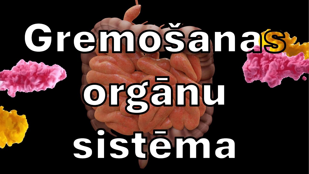 Ievads cilvēka gremošanas orgānu sistēmā. - YouTube